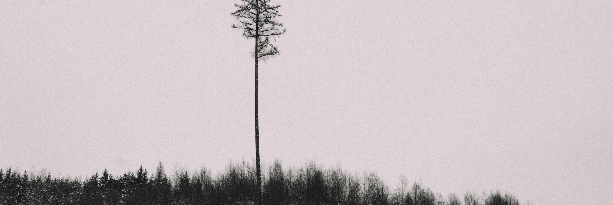 Christopher Tan, CEO of Providend