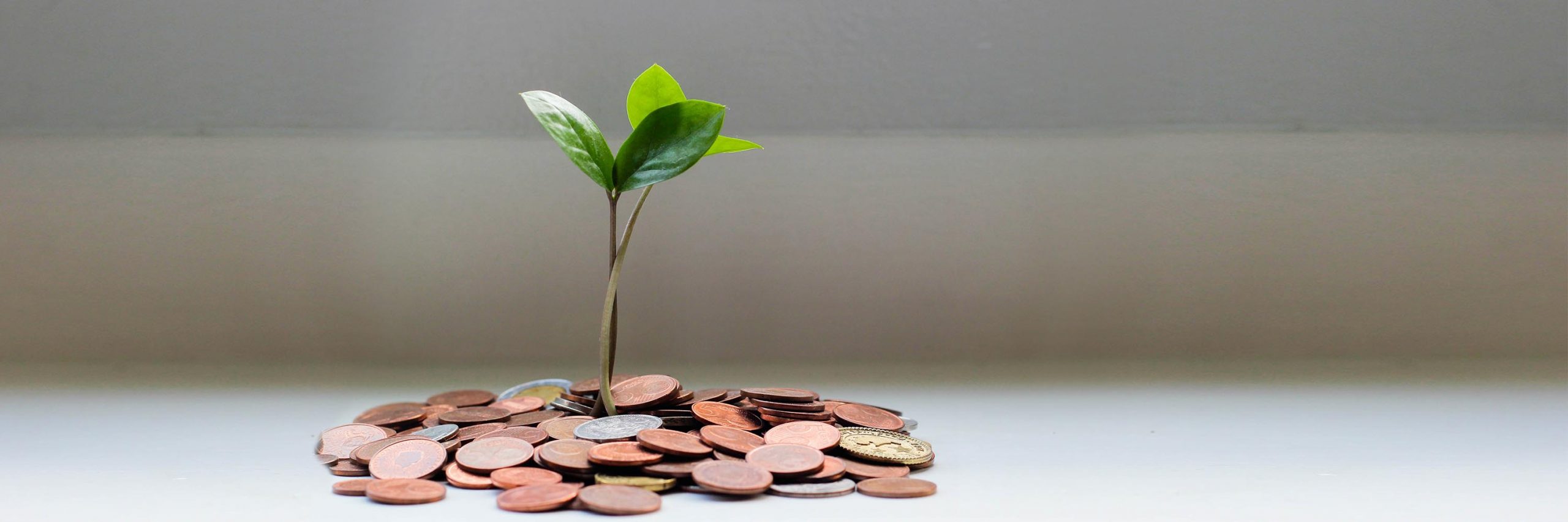 Achieve Financial Goals With Diligent Budgeting - Providend