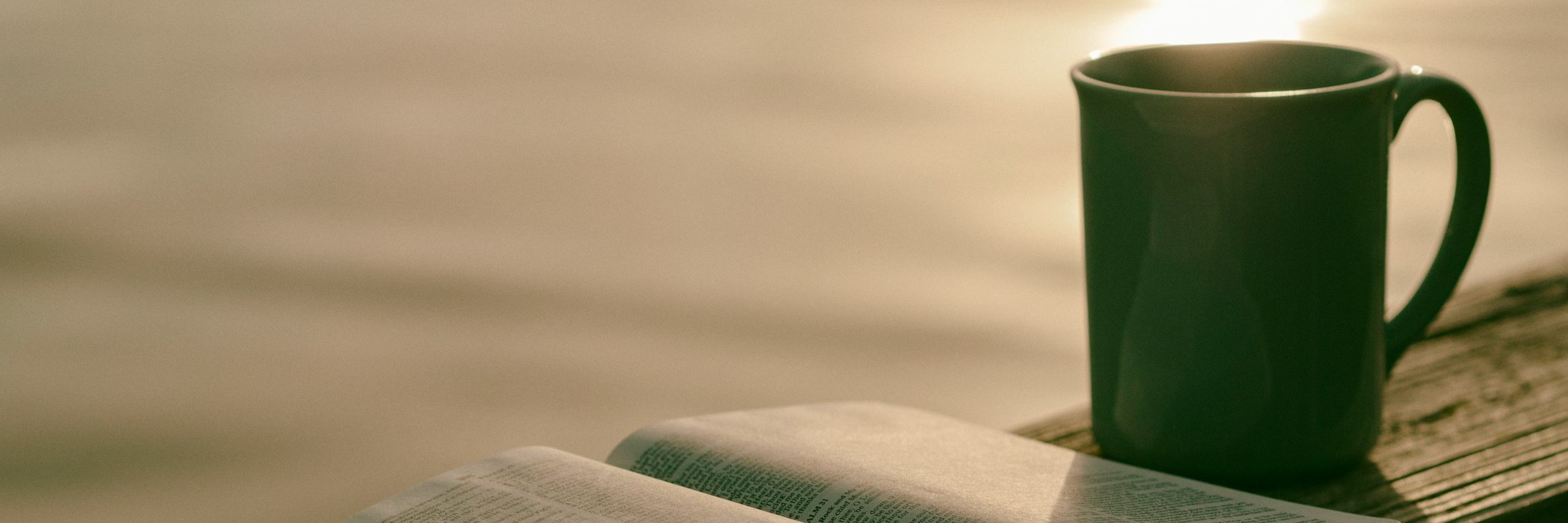 Christopher Tan, CEO of Providend