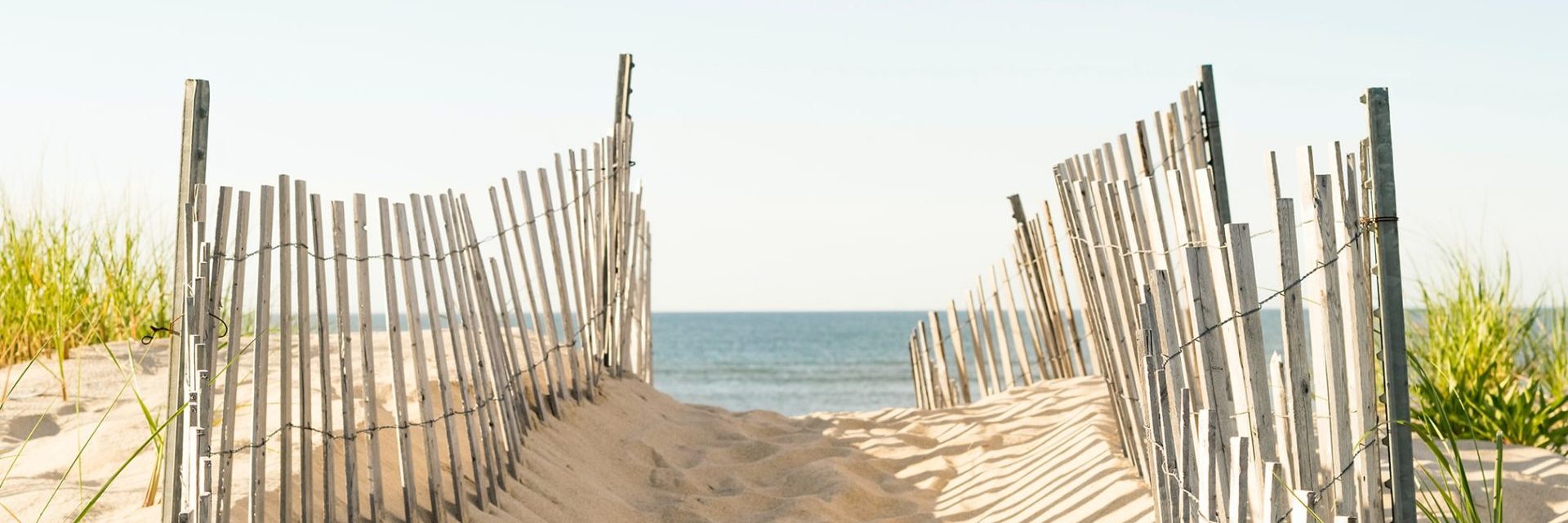 Christopher Tan - CEO | Providend